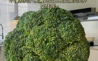 西兰花变黄了还能吃吗_西兰花变黄原因