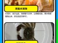 螃蟹怎么清洗干净最快方法_螃蟹清洗技巧