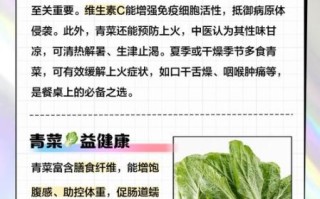 青菜的营养价值有哪些_青菜的功效与作用是什么