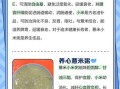 薏仁粥的功效与作用_薏仁粥能减肥吗