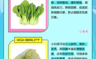 鸡毛菜和小白菜的区别_哪个更好吃