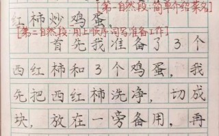 西红柿炒鸡蛋怎么写_西红柿炒鸡蛋作文优秀范文