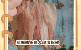 新鲜鱿鱼怎么处理_冷冻保存技巧