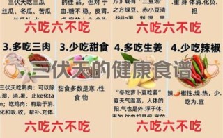 初伏吃什么_初伏如何养生