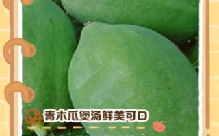 青木瓜怎么吃最好_青木瓜的正确吃法