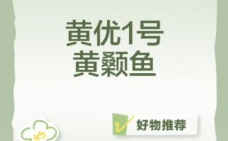 黄剑鱼价格多少钱一斤_黄剑鱼价格走势2024