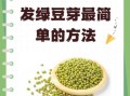 家庭绿豆芽怎么发_绿豆芽发芽最快的方法