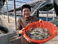 对虾养殖成本与利润_对虾养殖利润有多大