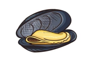 河蚌卡通图片怎么画_河蚌简笔画教程