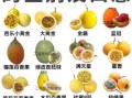 西番莲是不是百香果_区别与营养价值