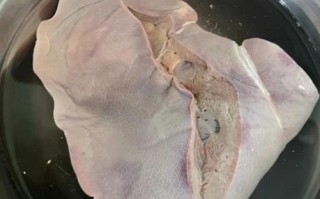 卤猪肝怎么做才嫩_卤猪肝去腥的秘诀