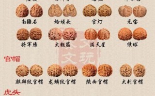 2021文玩核桃前十名_哪些品种值得入手
