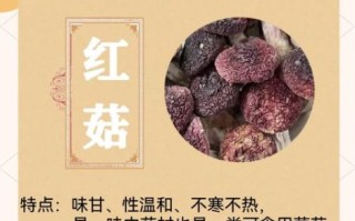 红菇的功效与作用有哪些_红菇怎么吃最好