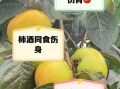 柿子不能和什么一起吃_哪些人不能吃柿子