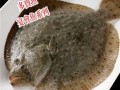 多宝鱼一般多大尺寸_多宝鱼能长多大