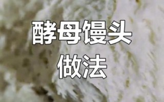 老面馒头怎么做_老面发酵失败怎么办