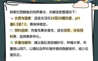 鲷鱼市场价多少钱一斤_鲷鱼价格影响因素