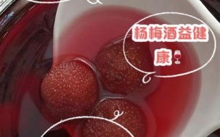 泡杨梅酒可以放枸杞吗_杨梅酒加枸杞的功效与禁忌