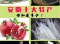 安徽有哪些必买特产_安徽美食送礼推荐