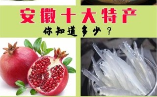 安徽有哪些必买特产_安徽美食送礼推荐