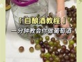 葡萄酒的制作方法视频教程_家庭自酿葡萄酒步骤