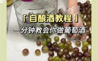葡萄酒的制作方法视频教程_家庭自酿葡萄酒步骤