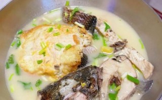 鱼汤用什么鱼最好_鱼汤选鱼技巧