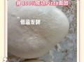 在家怎样做披萨_披萨面团怎么发酵