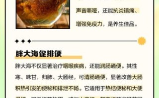 胖大海可以长期喝吗_胖大海长期喝的副作用