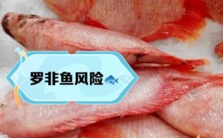 罗非鱼为什么不能吃_吃罗非鱼有什么危害