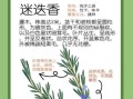 迷迭香殊娓是什么_迷迭香殊娓功效与作用