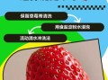 草莓怎么洗才干净_草莓清洗的正确方法