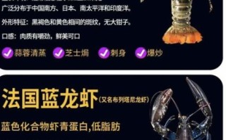 中华锦绣龙虾养殖技术_中华锦绣龙虾养殖条件