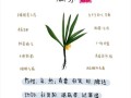 壮阳中药秘方_多久见效