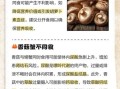 香菇不能和什么一起吃_香菇与哪些食物相克