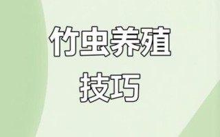 竹笋虫怎么养_竹笋虫人工养殖技术