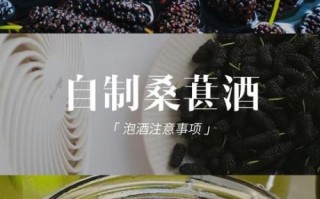 桑葚酒怎么酿_桑葚酒家庭酿制方法