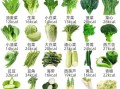 青菜有哪些种类_青菜图片名称大全
