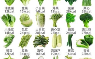 青菜有哪些种类_青菜图片名称大全