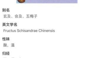 五倍子的功效与作用_五倍子外用怎么用