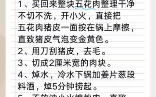 家庭版红烧肉怎么做_红烧肉肥而不腻的秘诀