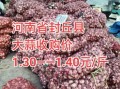 今日大蒜价格多少钱一斤_蒜通天下最新行情