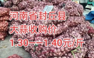 今日大蒜价格多少钱一斤_蒜通天下最新行情