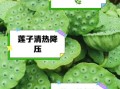 新鲜莲子不能和什么一起吃_哪些人不能吃新鲜莲子