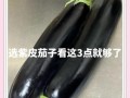 茄子皮能吃吗_茄子皮的营养价值