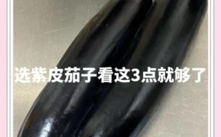 茄子皮能吃吗_茄子皮的营养价值
