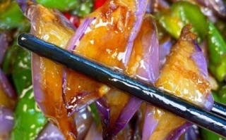 红烧茄子怎么做才好吃_红烧茄子做法大全小视频