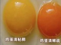 土鸡蛋营养价值及功效_土鸡蛋和普通鸡蛋的区别