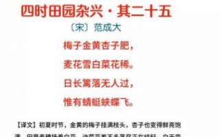 麦花雪白菜花稀全诗_作者是谁