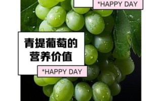 绿葡萄的功效与作用_绿葡萄可以天天吃吗